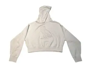 OVO Og Owl Cropped Hoodie