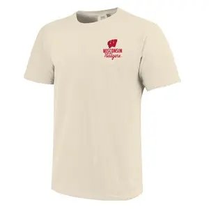 IMAGE ONE Wisconsin Badgers Comfort Colors Mascot Overlay T-shirt