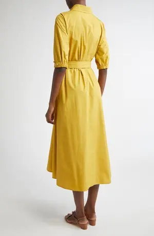 Max Mara Hoyo Cotton Belted Shirt Dress