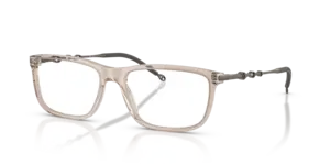 DIESEL Dl4006 Eyeglasses - Transparent Taupe