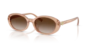 Tiffany & Co. Tf4242d Round Frame Sunglasses - Opal Nude