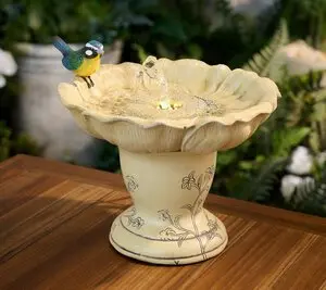 BARBARA KING Illuminated Flower Shaped Low Birdbath - One-color