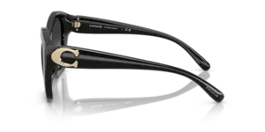 COACH Irregular Frame Sunglasses - Black
