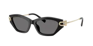 Tiffany & Co. Tf4231u Sunglasses - Black