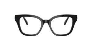 SWAROVSKI Swarovski SK2048 Eyeglasses Black