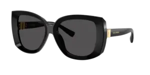 Dolce & Gabbana Full Rim Square Sunglasses - Black