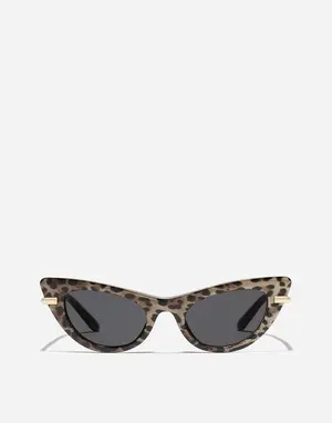 Dolce & Gabbana Sunglasses