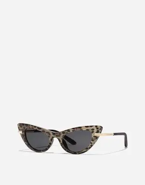 Dolce & Gabbana Sunglasses