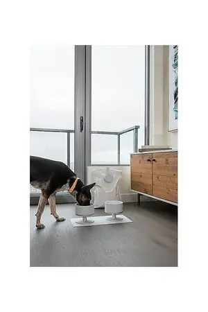 BOO OH Mogo Dog Bowl Stand