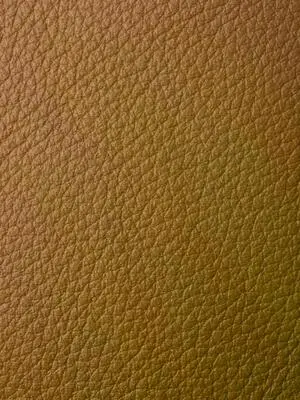 Prada Leather Shoulder Bag
