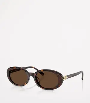 Tiffany & Co. Acetate Oval Tf4242d Sunglasses - Brown