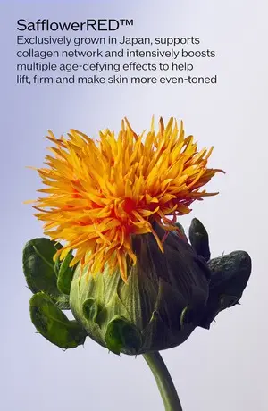 SHISEIDO Lifting & Firming Ritual Set $225 Value