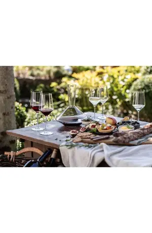 SCHOTT ZWIESEL Pure Set Of 2 Cabernet Wine Glasses