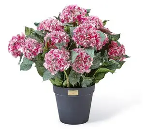 MACKENZIE-CHILDS Pink Hydrangea Urn Filler - One-color