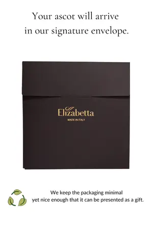 ELIZABETTA Gilded Keeper Silk Ascot Cravat Tie - Navy