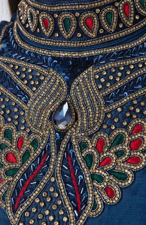 RAAS Myka Embroidered High Neck Gown Set