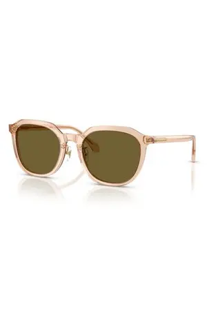 Versace 55mm Phantos Sunglasses - Dark Brown