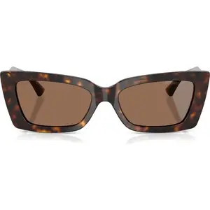 JIMMY CHOO 54mm Cat Eye Sunglasses - Havana / Dark Brown
