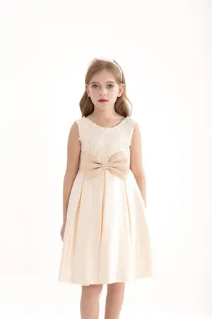 TULLEEN Hampton Embroidered Dress - Champagne