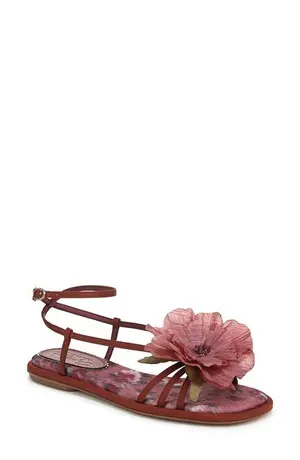 Circus Ny By Sam Edelman Floral Sandals For Women