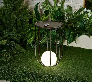 GARDEN REFLECTIONS Metal Plant Stand With Led Ball Light