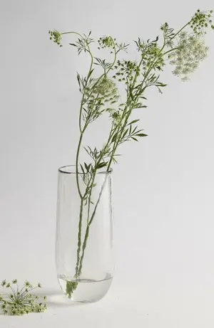 THE COLLECTIVE Tall Vase - Clear