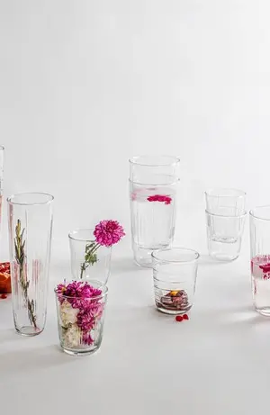THE COLLECTIVE Flutes Set Of 6 - Clear