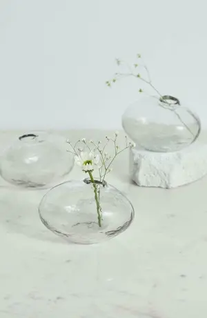 THE COLLECTIVE Natura Vases Set Of 3 - Clear