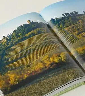 Assouline Tuscany Marvel Book - Multicoloured
