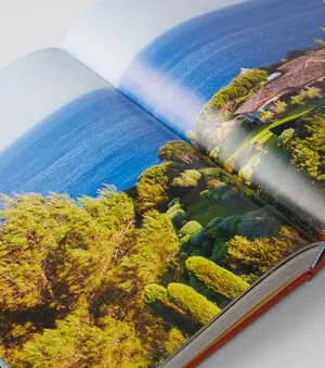 Assouline St. Tropez Soleil Book - Orange