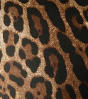 Dolce & Gabbana Leopardo Small Silk Twill Cushion