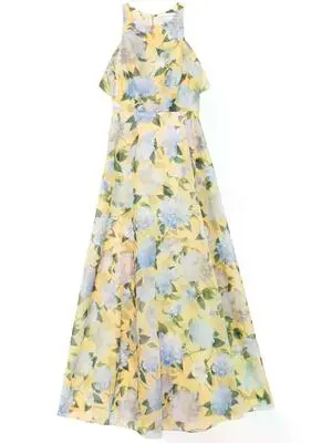 Sachin & Babi Kate Maxi Dress