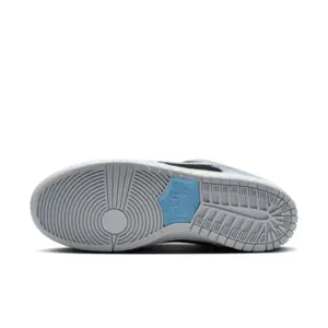 Nike Sb Dunk Low Pro Skate Shoes