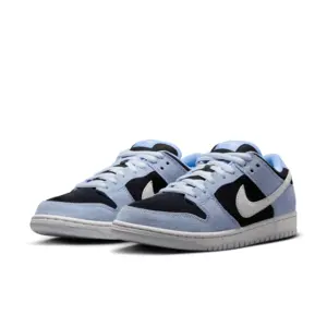 Nike Sb Dunk Low Pro Skate Shoes