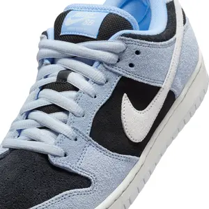 Nike Sb Dunk Low Pro Skate Shoes