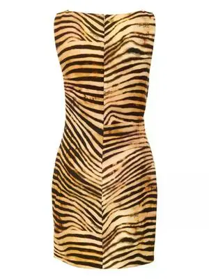 Just Cavalli Zebra-print Mini Dress - Brown