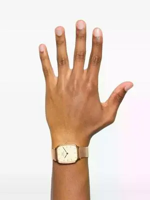 DANIEL WELLINGTON 36mm Watch - Neutrals