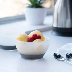 HOST Ice Cream Freeze Cooling Bowl Set Of 2