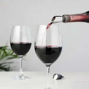 HOST Filter Wine Pour Spout