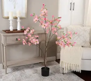 VALERIE PARR HILL 4' Dogwood Tree In Pot Valerie - One-color