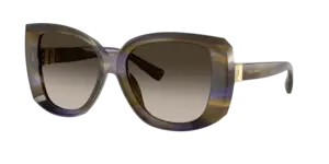 Dolce & Gabbana Full Rim Sunglasses - Brown Gradient