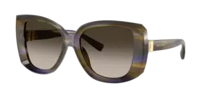 Dolce & Gabbana Full Rim Sunglasses - Brown Gradient