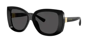Dolce & Gabbana Full Rim Sunglasses - Dark Grey