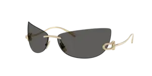 Tiffany & Co. Sunglasses
