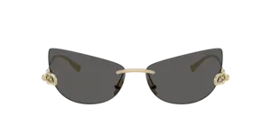 Tiffany & Co. Sunglasses