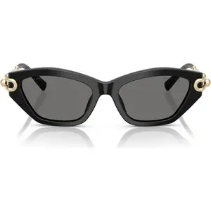 Tiffany & Co. 53mm Polarized Cat Eye Sunglasses - Black / Dark Grey Polar