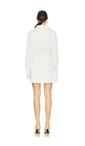EAVES Bibas Mini Shirt Dress