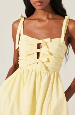 Astr The Label Helia Sleeveless A-line Dress