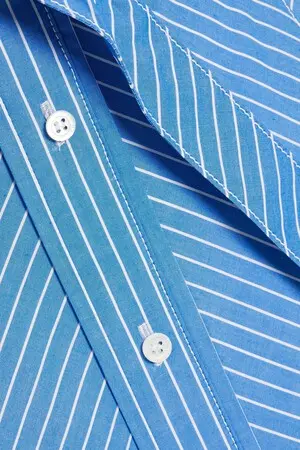 Carolina Herrera Striped Cotton-poplin Midi Skirt