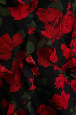MIKAEL AGHAL Ruffled Floral-print Georgette Midi Dress